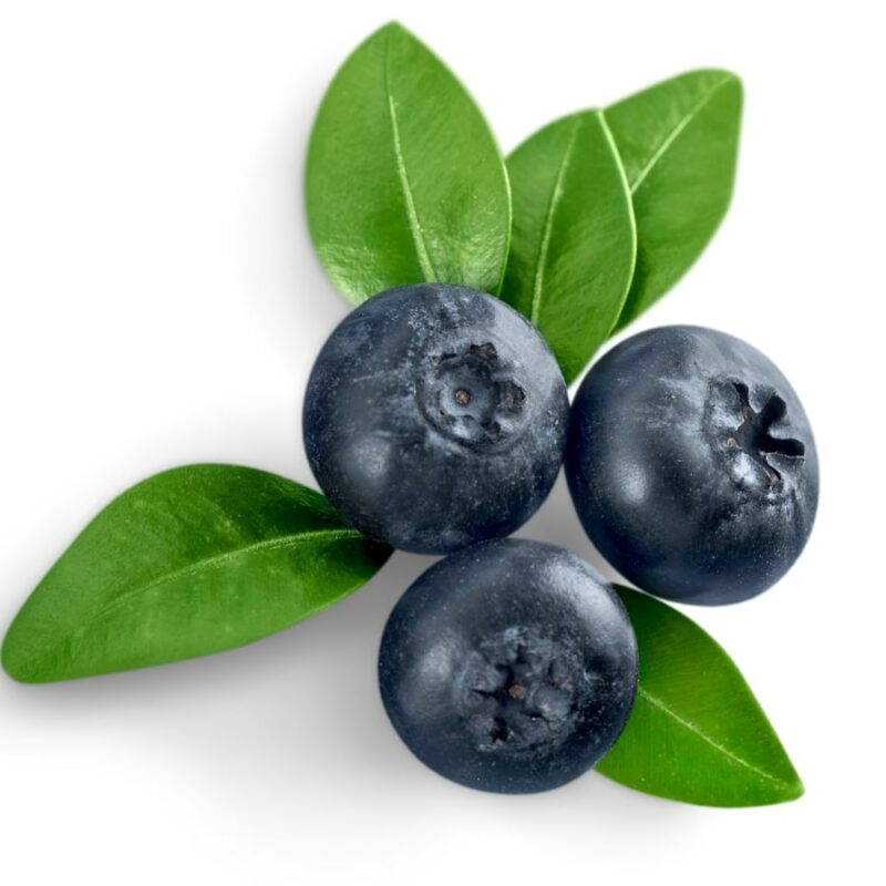 La baie d’açaï, un atout santé ! Découvrez ses bienfaits.